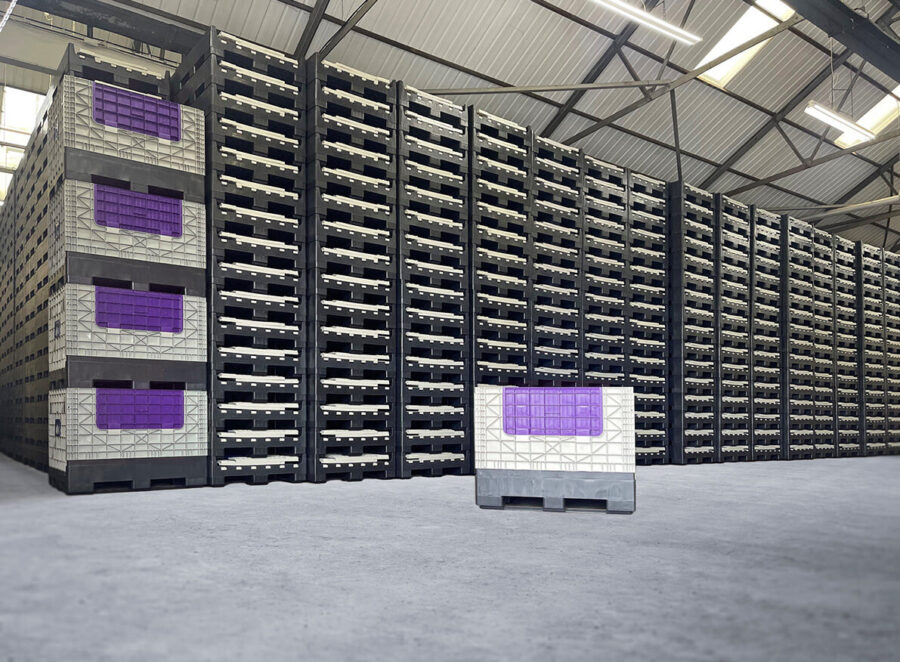 Bulk Container Services: Repair, Recycle, Lease | Extera